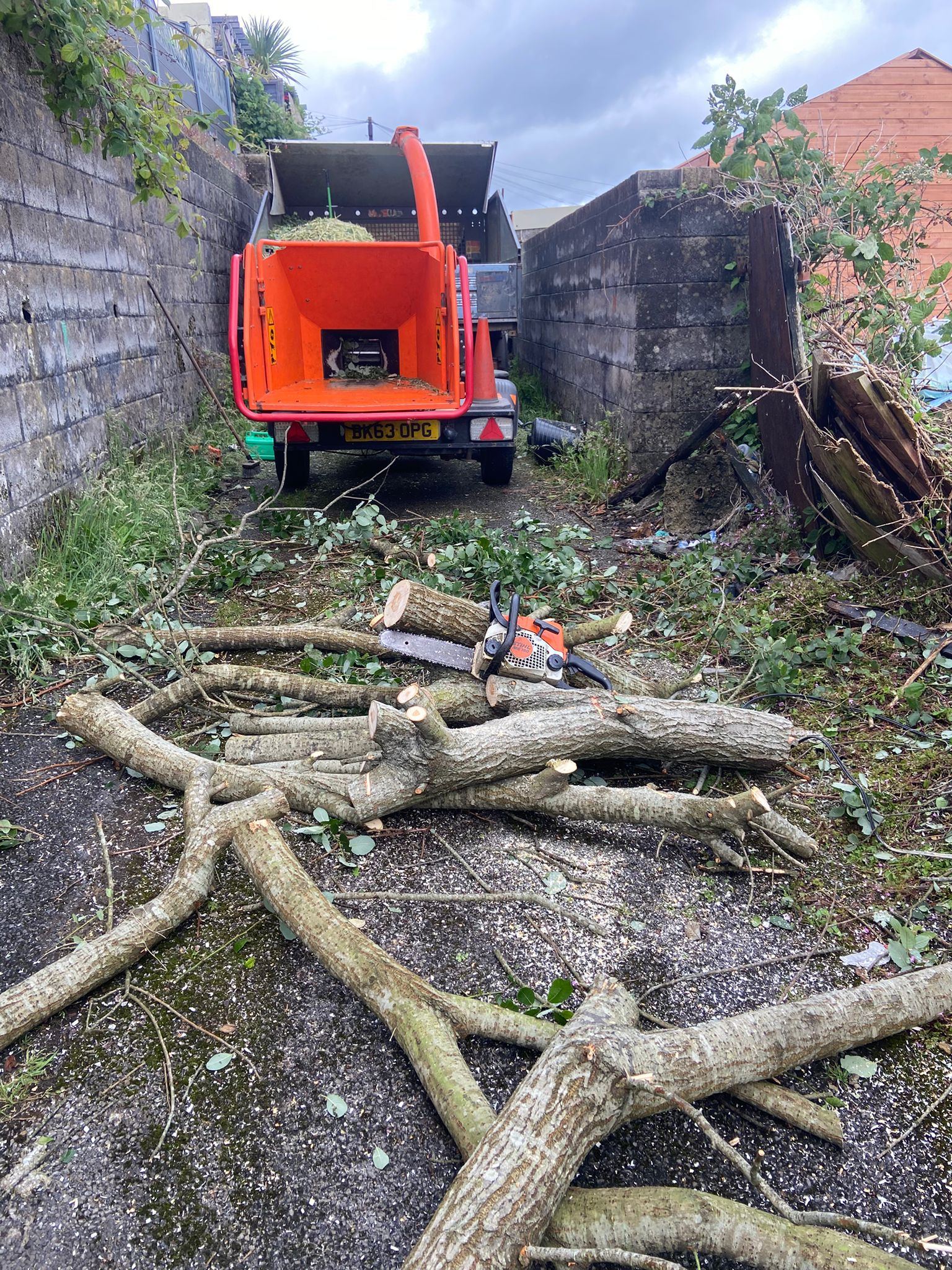 Tree Felling in Caerphilly | H J Tree Maintenance 🌳